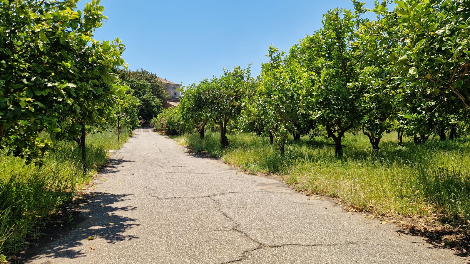 Bio Agriturismo Ätna Garten | Sicilia | Italia Solaris